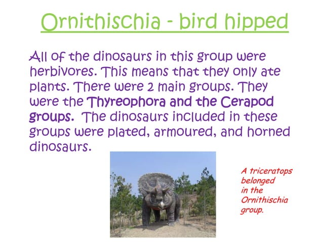 Dinosaur facts power point | PPTX
