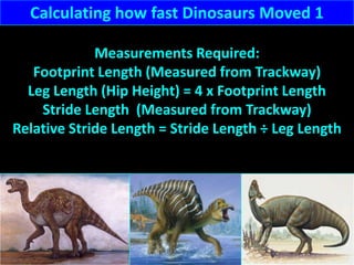 Dinosaurfootprints | PPTX
