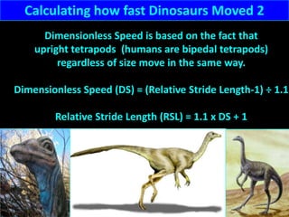 Dinosaurfootprints | PPTX