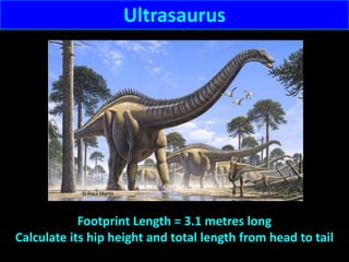 Dinosaurfootprints | PPTX