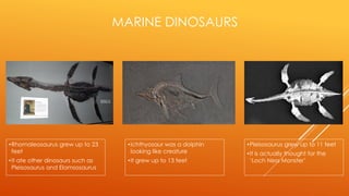 Dinosaur programme | PPT