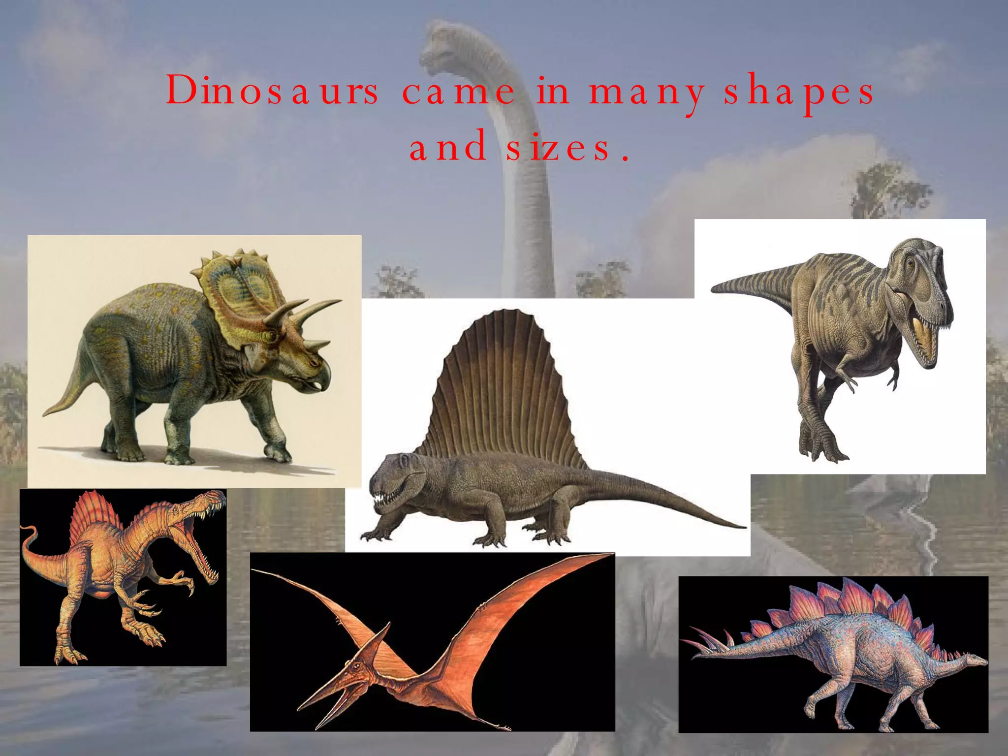 Dinosaurs | PPT