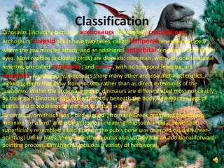 Dinosaurs | PPTX | Reptiles | Pets