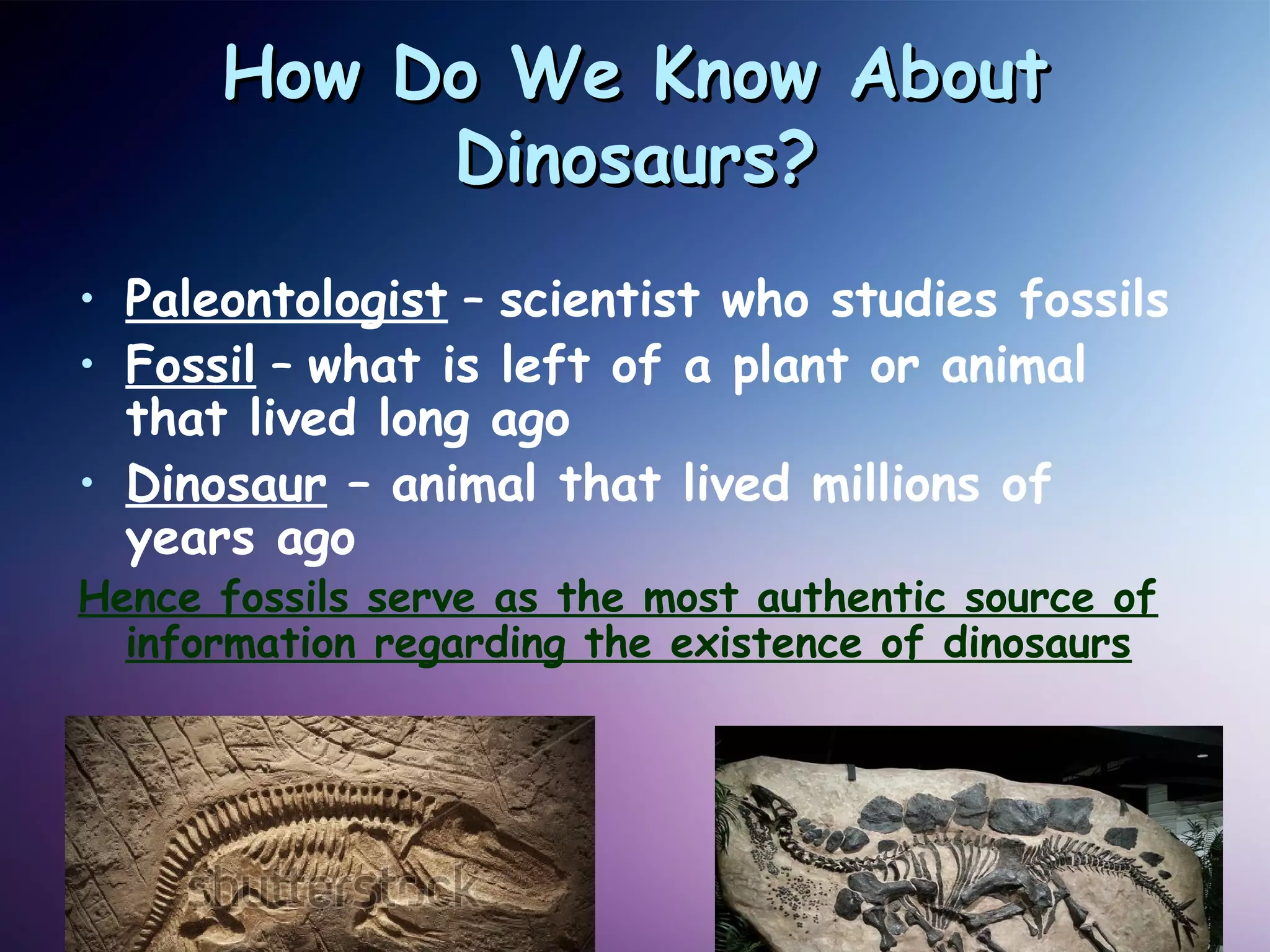 Dinosaurs | PPT
