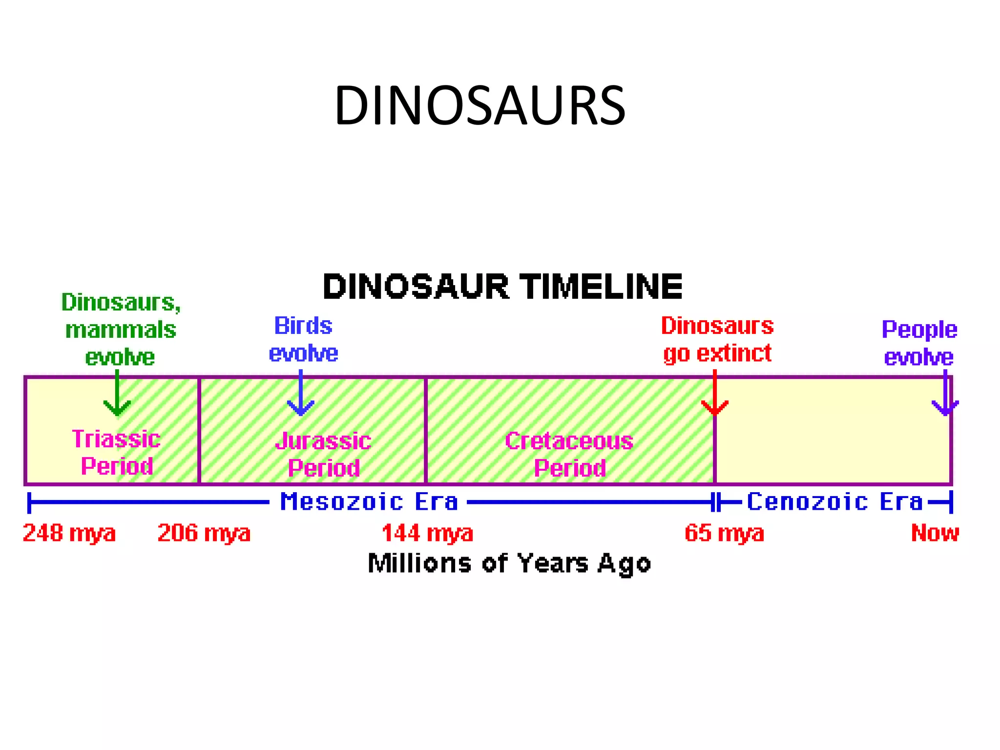 Dinosaurs | PPT