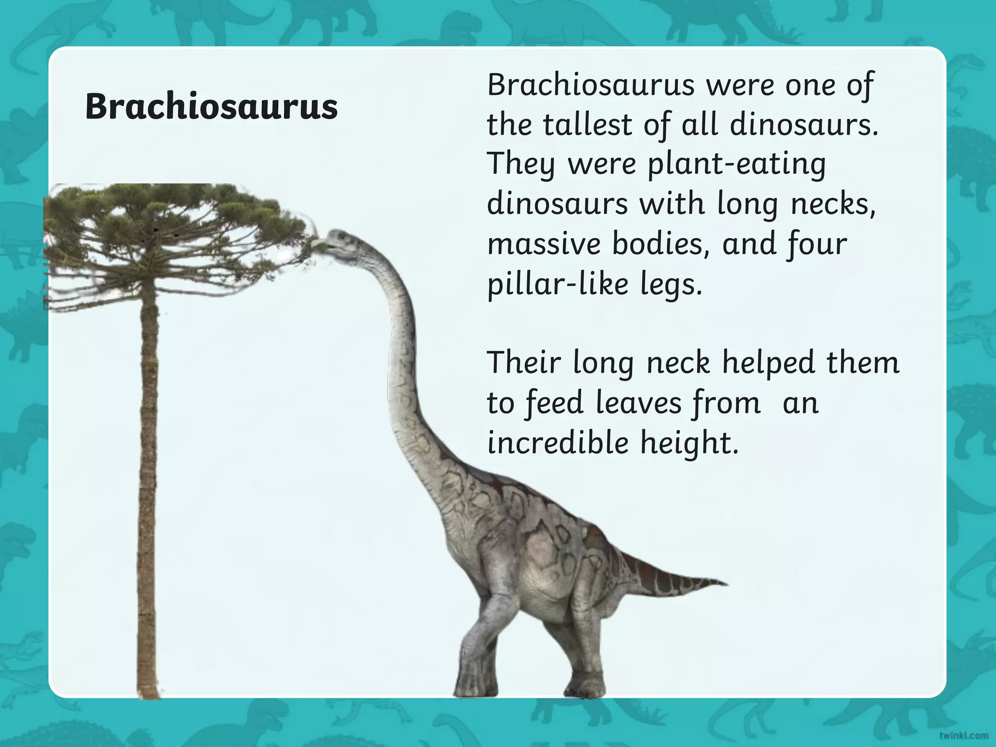 Dinosaurs & their types.pdf | Reptiles | Pets