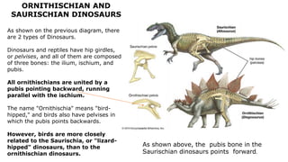 dinosaurs fundamental, bigbang their .pdf