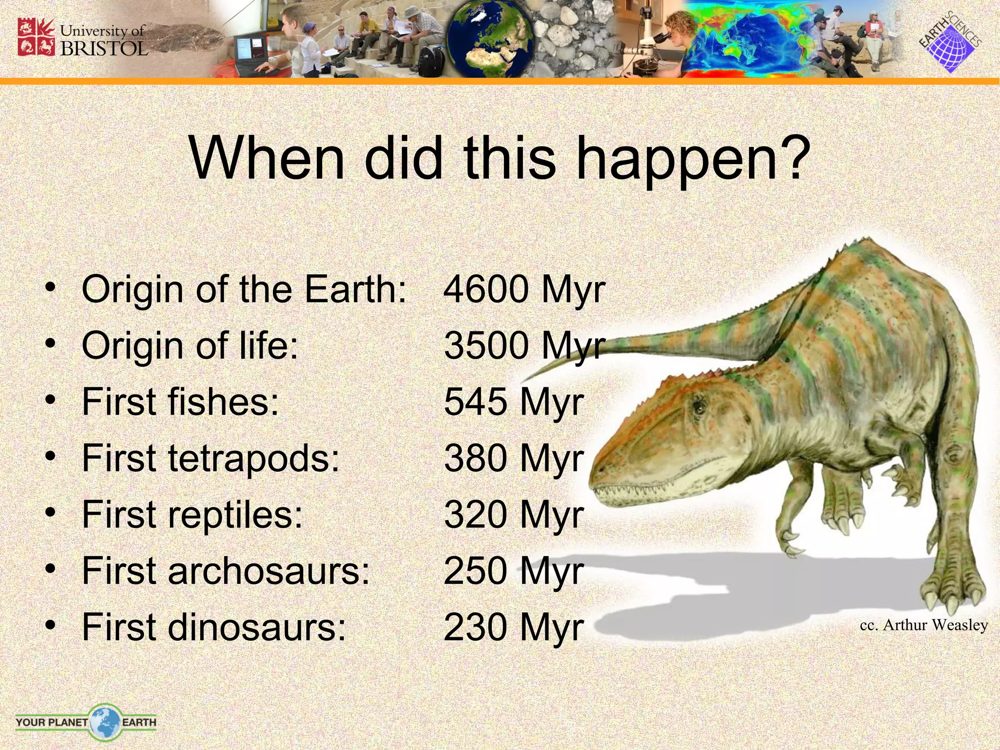 Dinosaurs1 | PPT