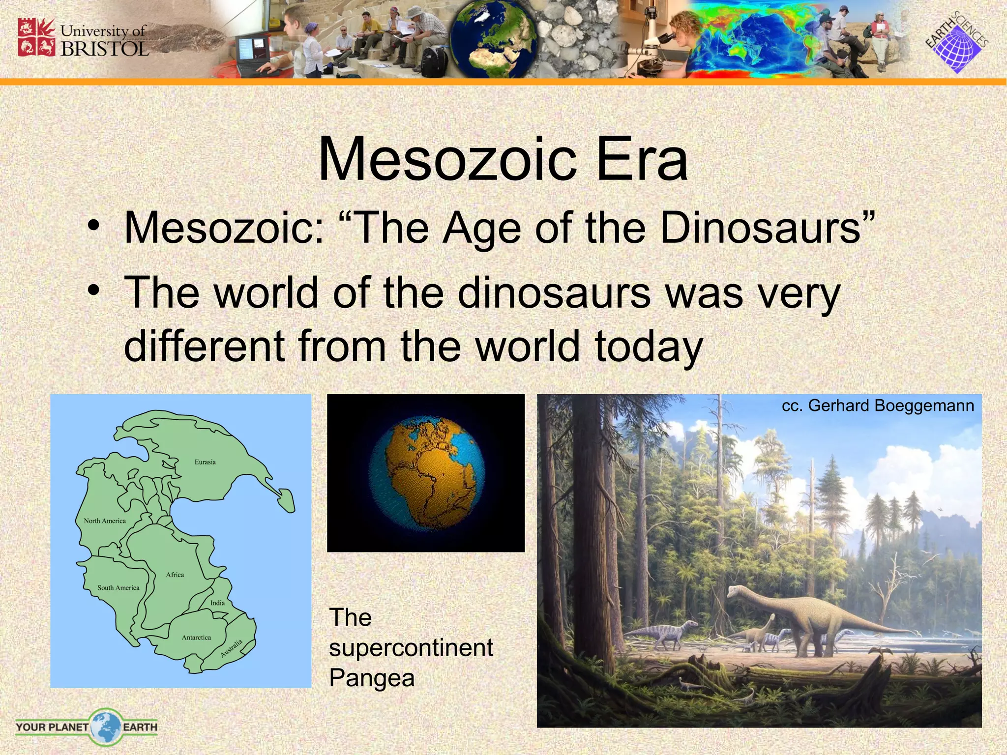 Dinosaurs1 | PPT