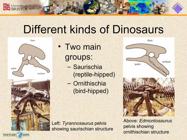 Dinosaurs1a | PPT