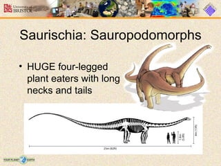 Dinosaurs1a | PPT