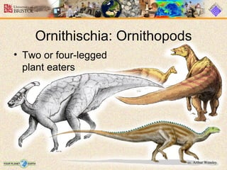 Dinosaurs1a | PPT