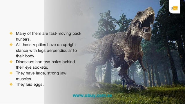 Dinosaurs And Their Existence - Welcome to the Era of the Unknowns | PPTX
