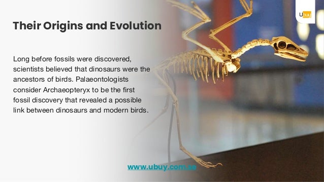 Dinosaurs And Their Existence - Welcome to the Era of the Unknowns | PPTX