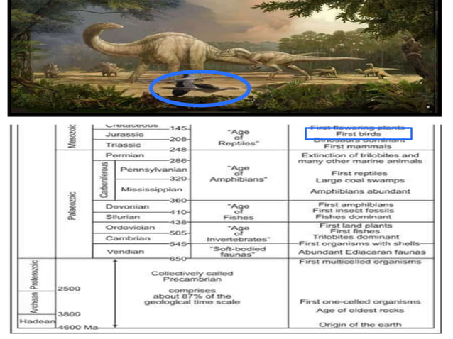 Mesozoic Era, Dinosaurs, K-T Mass Extinction Event, Earth Science ...