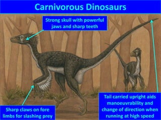 Dinosaursmodeoflife | PPTX