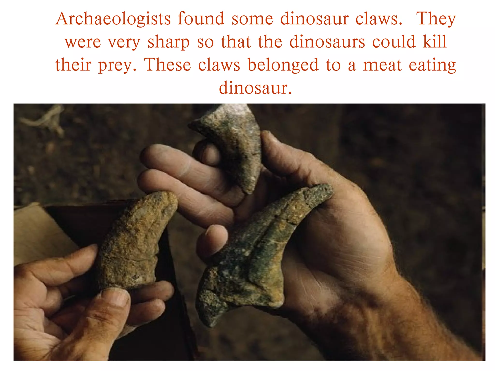 Dinosaurspptwithinfo 120713125409-phpapp02 | PDF