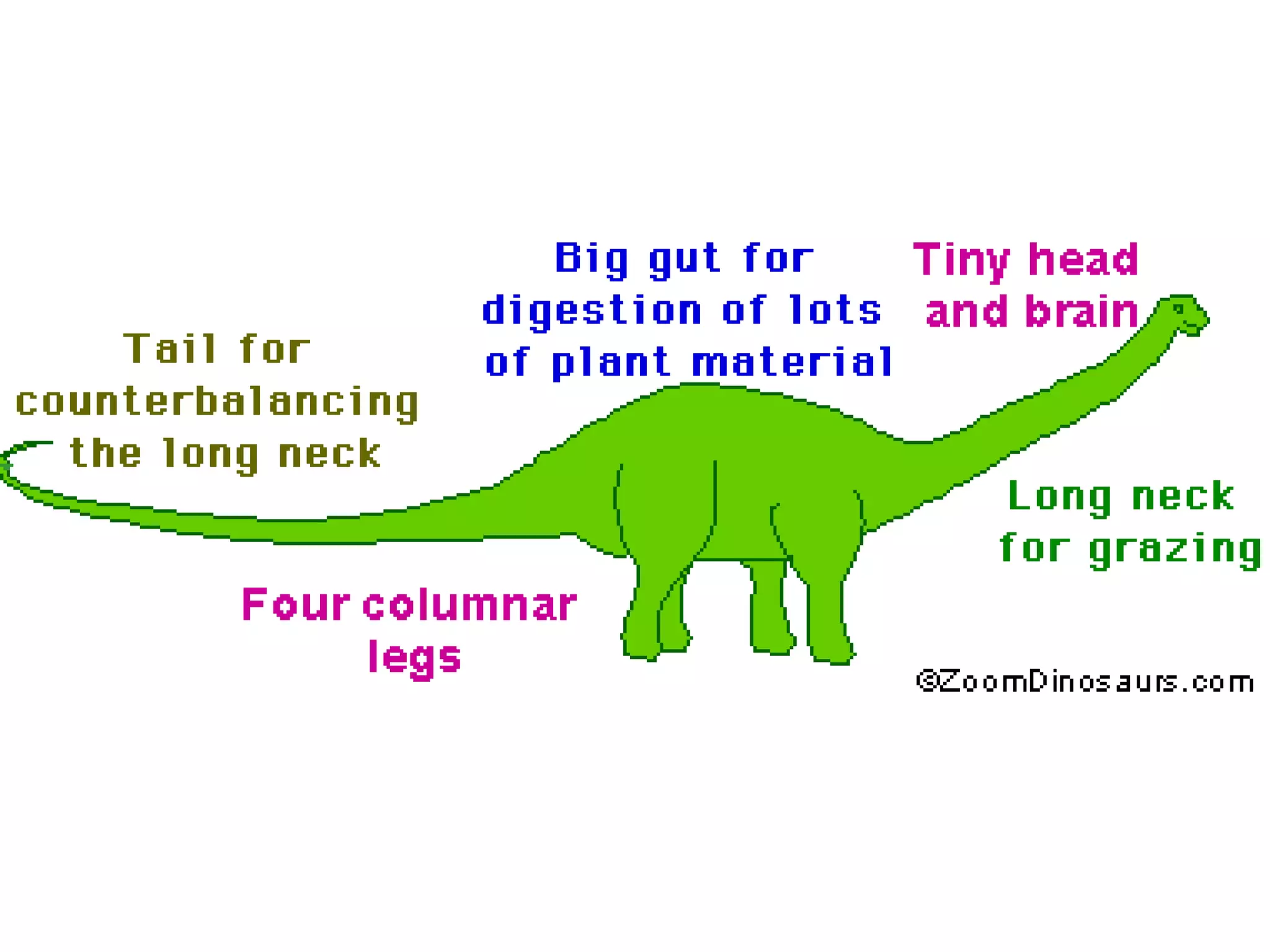 Dinosaurs ppt with info | PPT