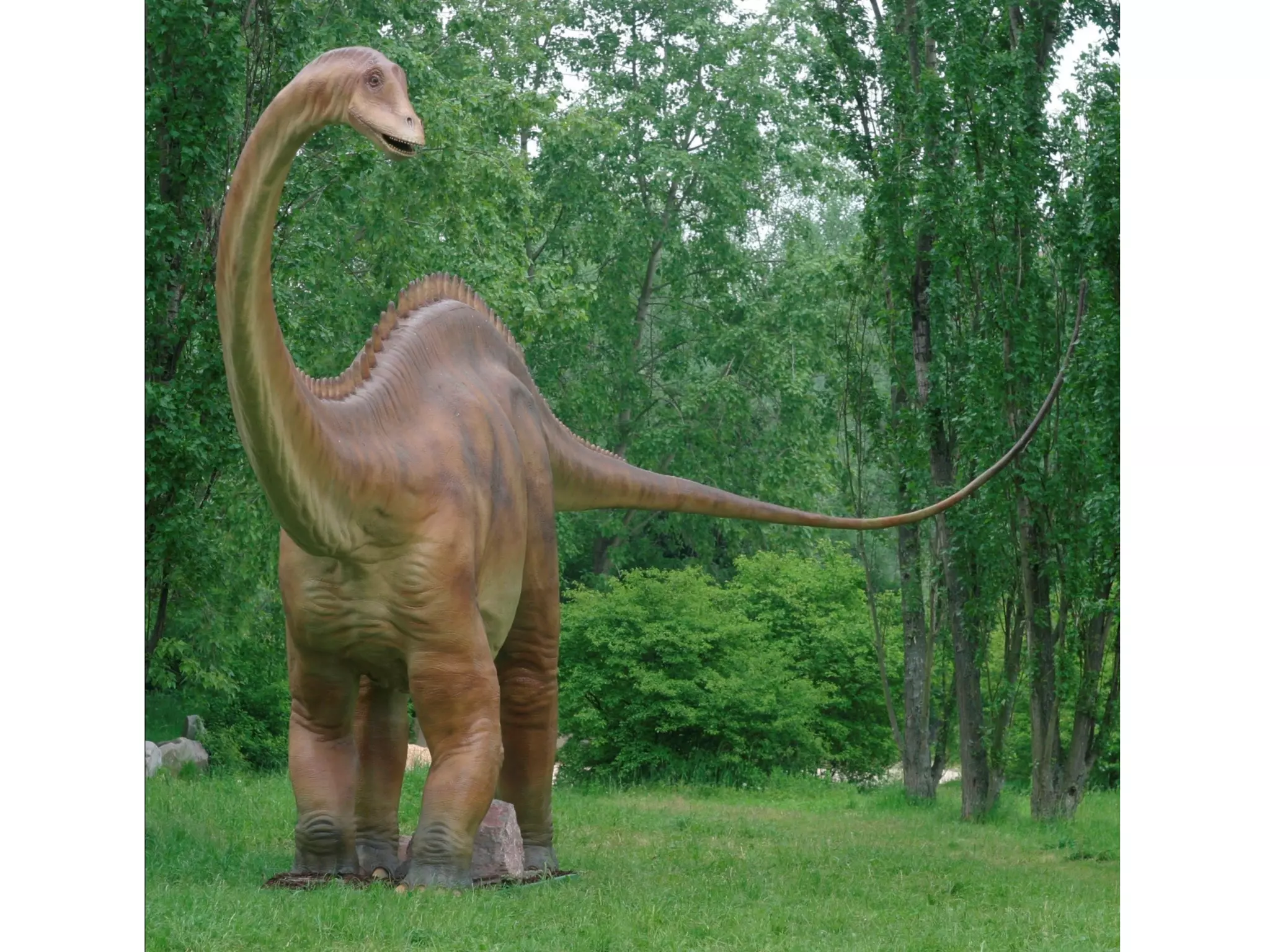 Dinosaurs ppt with info | PPT