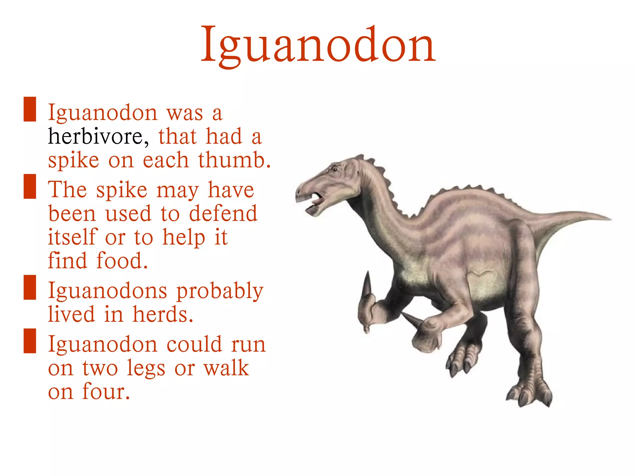 Dinosaurs ppt with info | PPT