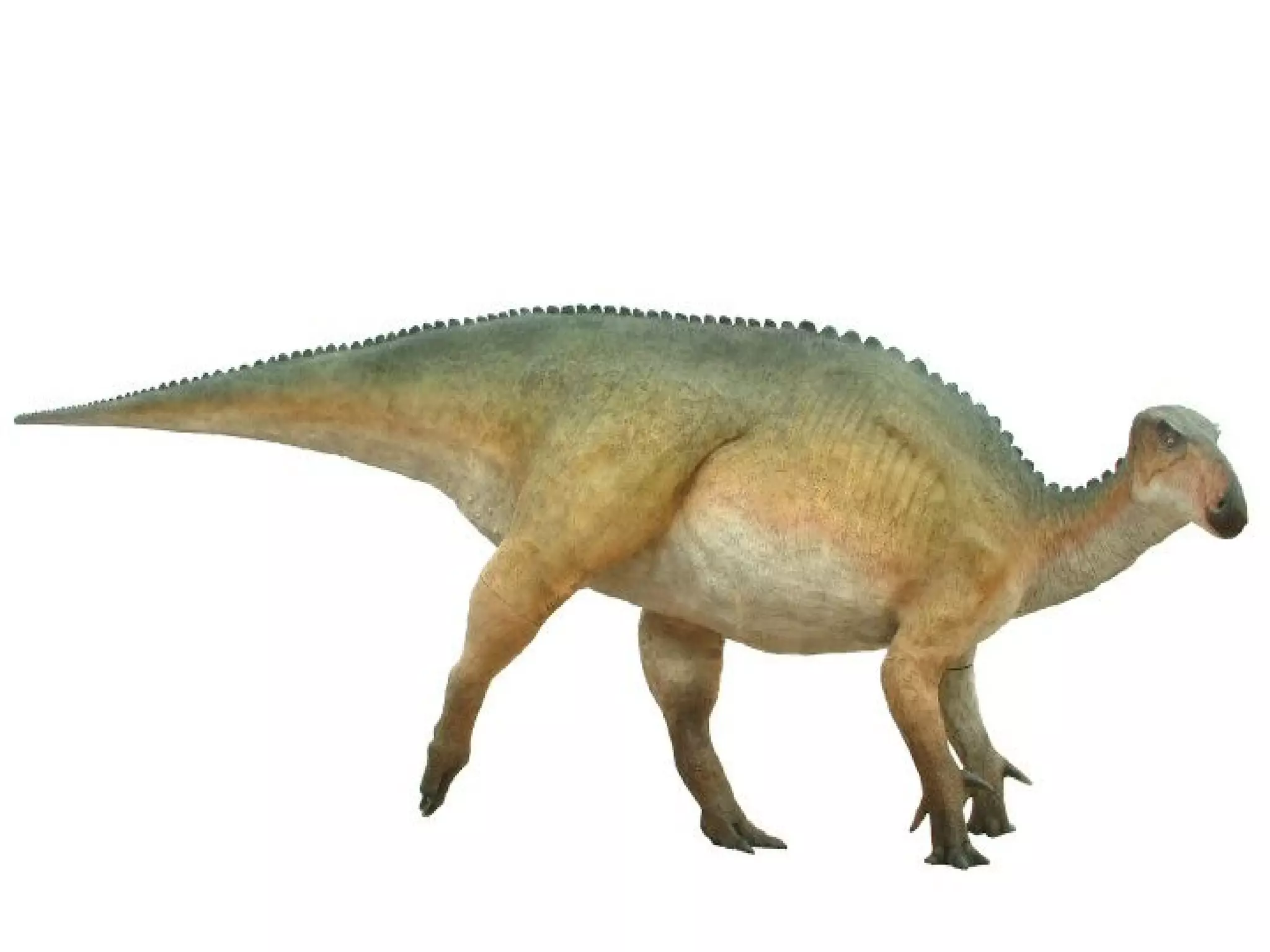 Dinosaurs ppt with info | PPT | Reptiles | Pets