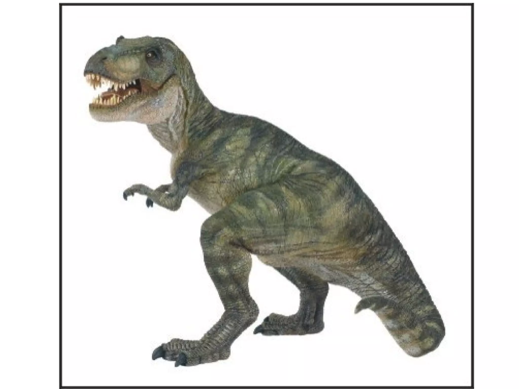 Dinosaurs ppt with info | PPT