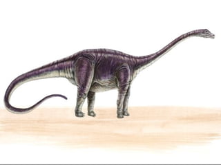 Dinosaurs ppt with info | PPT