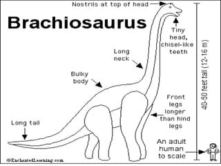 Dinosaurs ppt with info | PPT