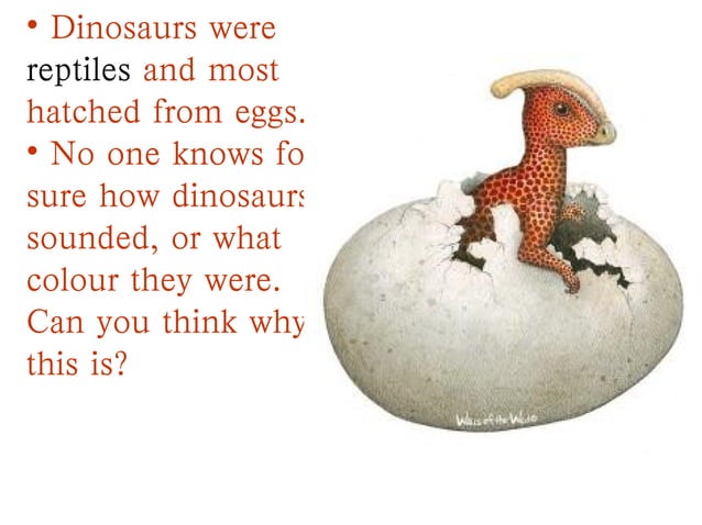Dinosaurs ppt with info | PPT | Reptiles | Pets
