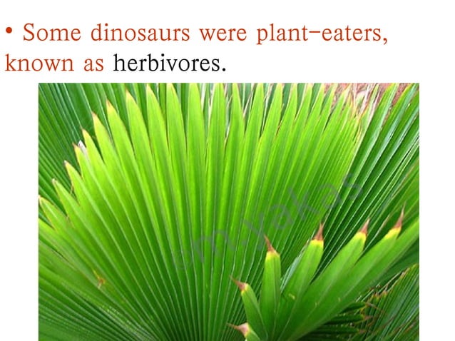 Dinosaurs ppt with info | PPT | Reptiles | Pets