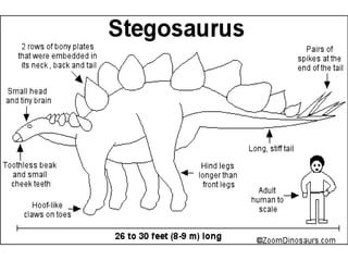 Dinosaurs ppt with info | PPT