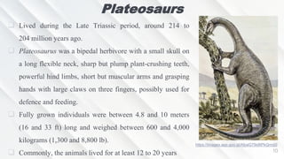 The Rise and Fall of Dinosaurs.pptx