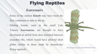 The Rise and Fall of Dinosaurs.pptx