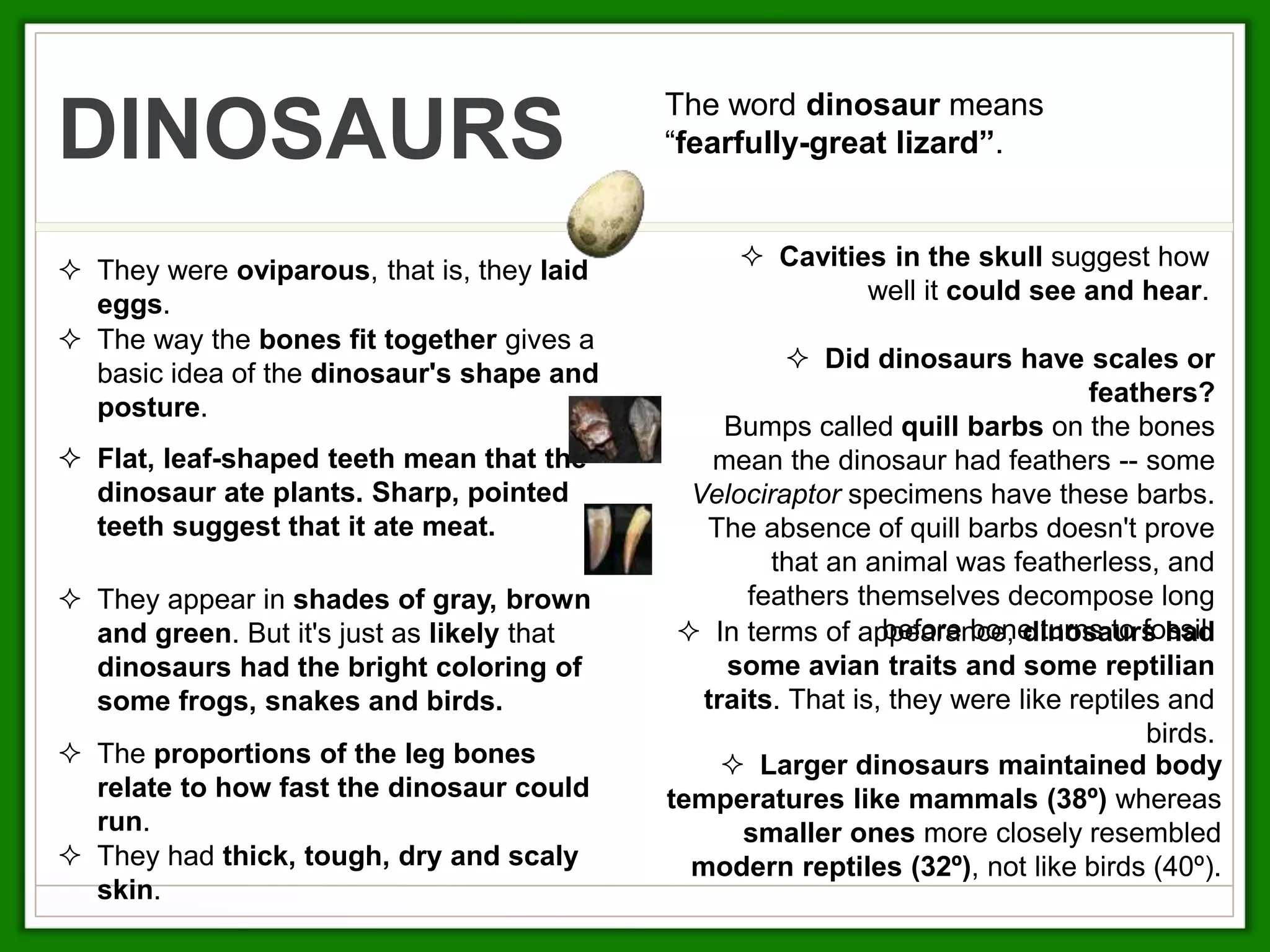 Dinosaurs types | PPTX