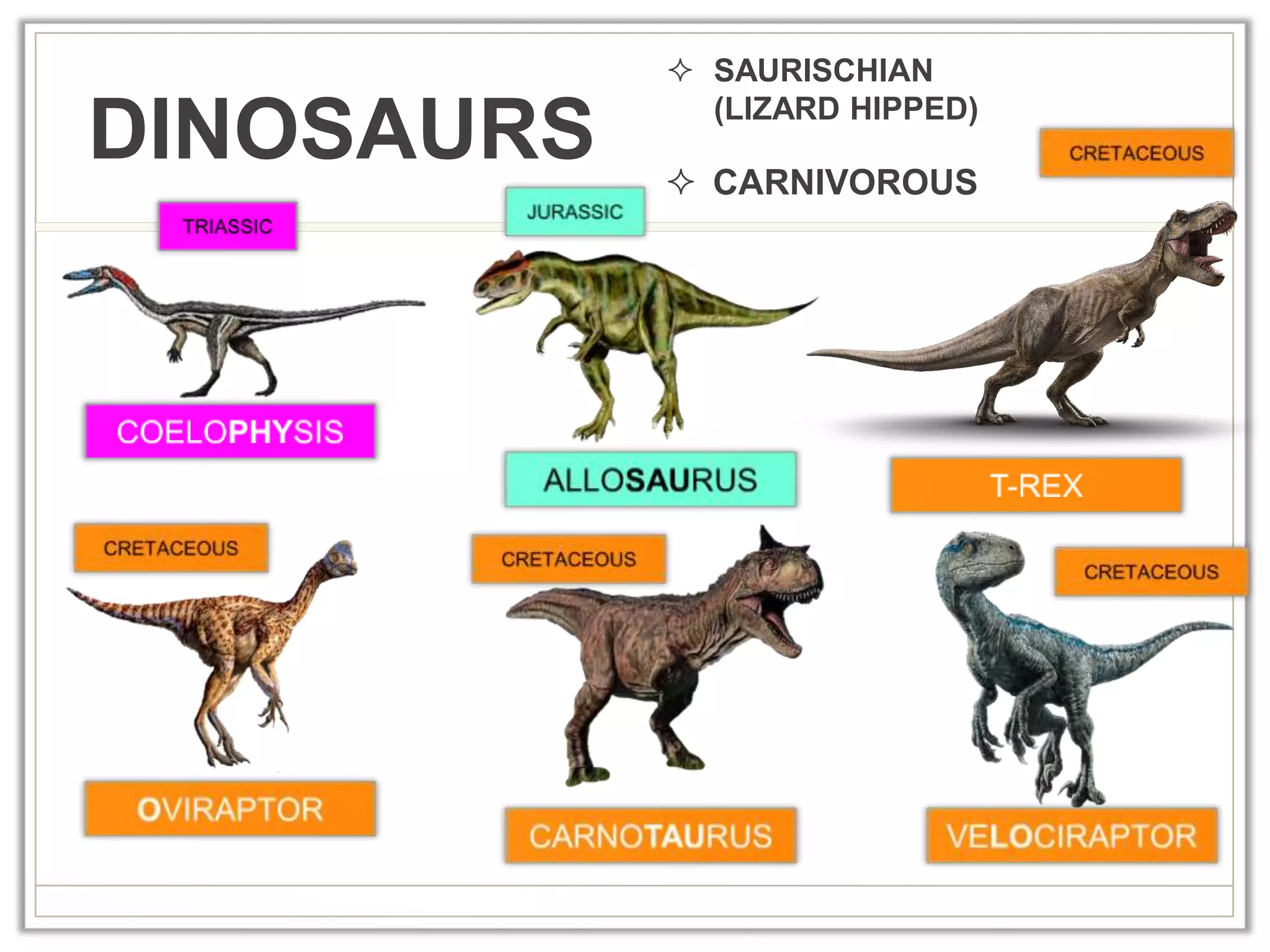 Dinosaurs types | PPTX