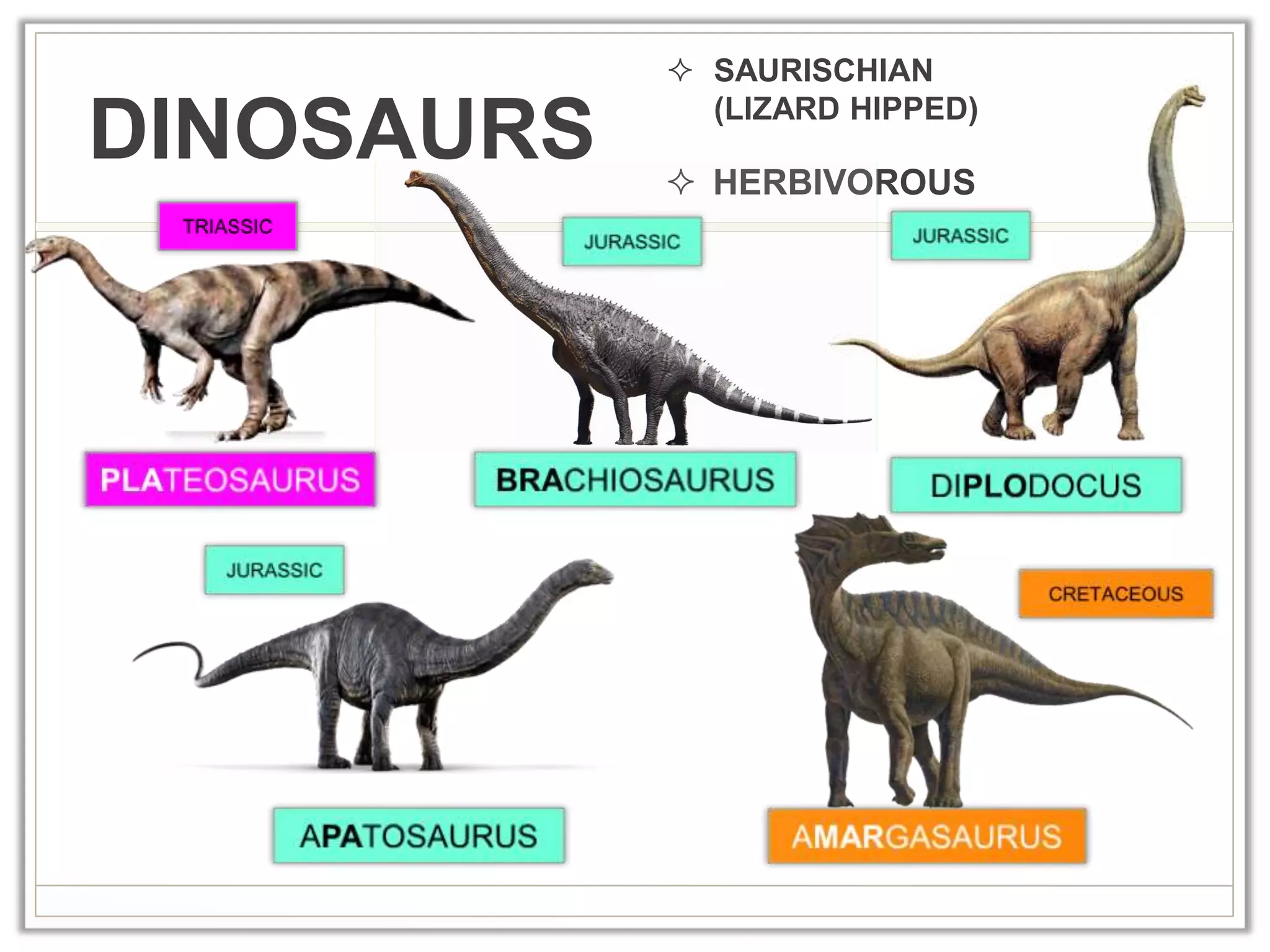 Dinosaurs types | PPTX