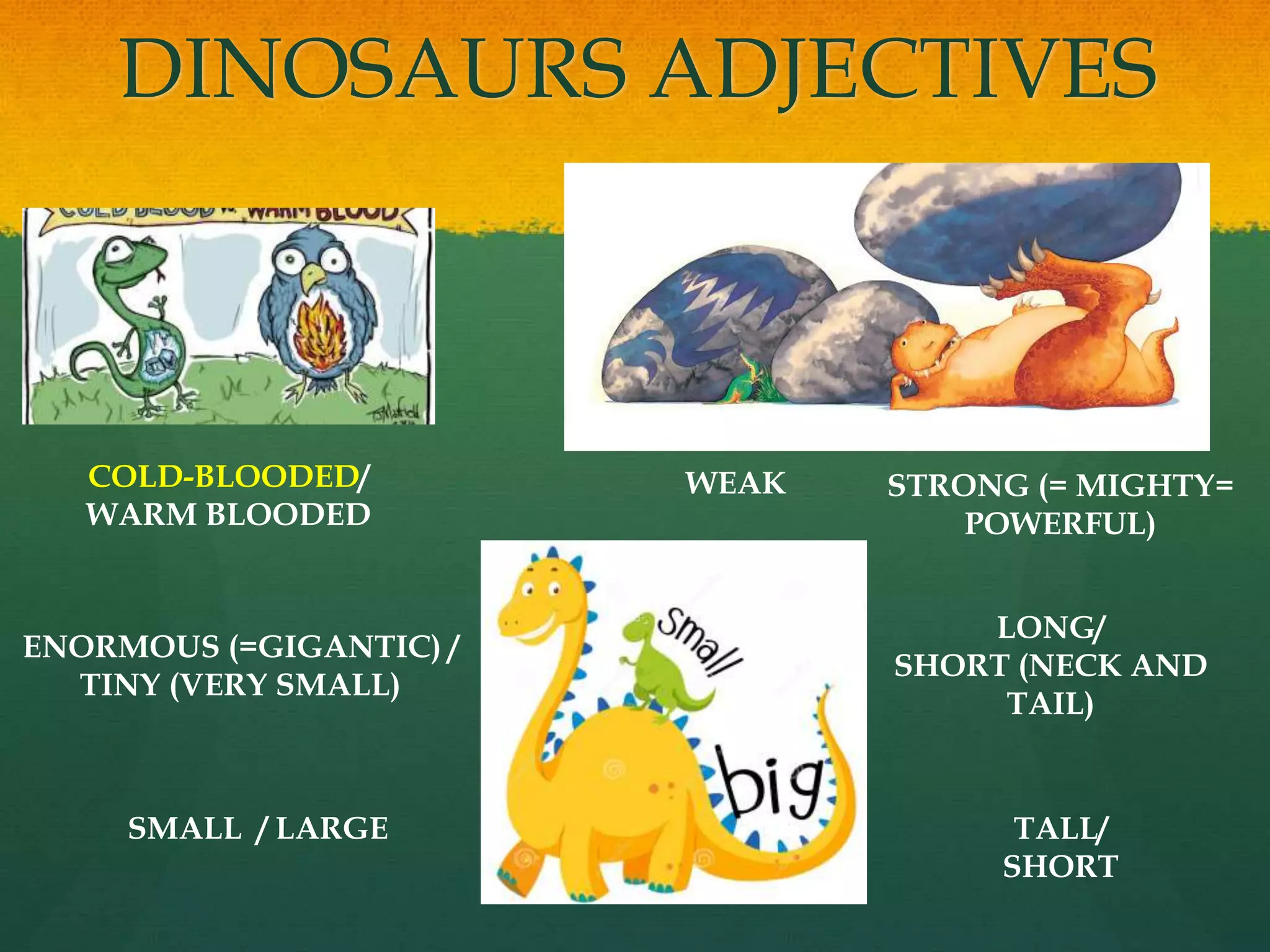 Dinosaurs vocabulary | PPTX
