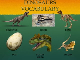 Dinosaurs vocabulary | PPTX