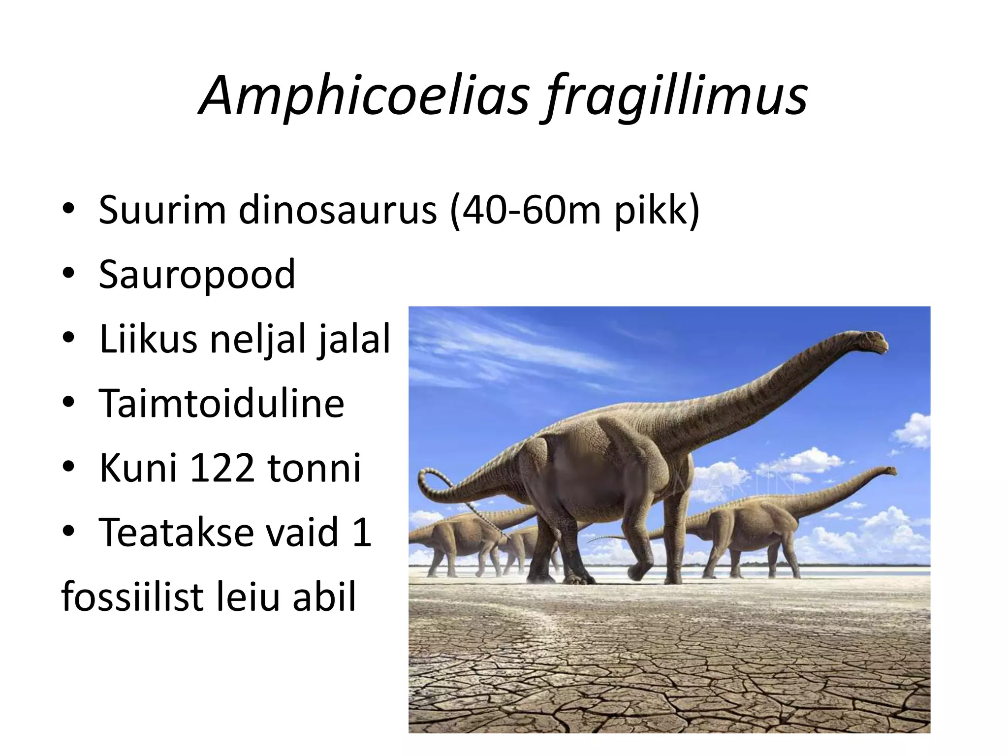 Dinosaurused | PPTX