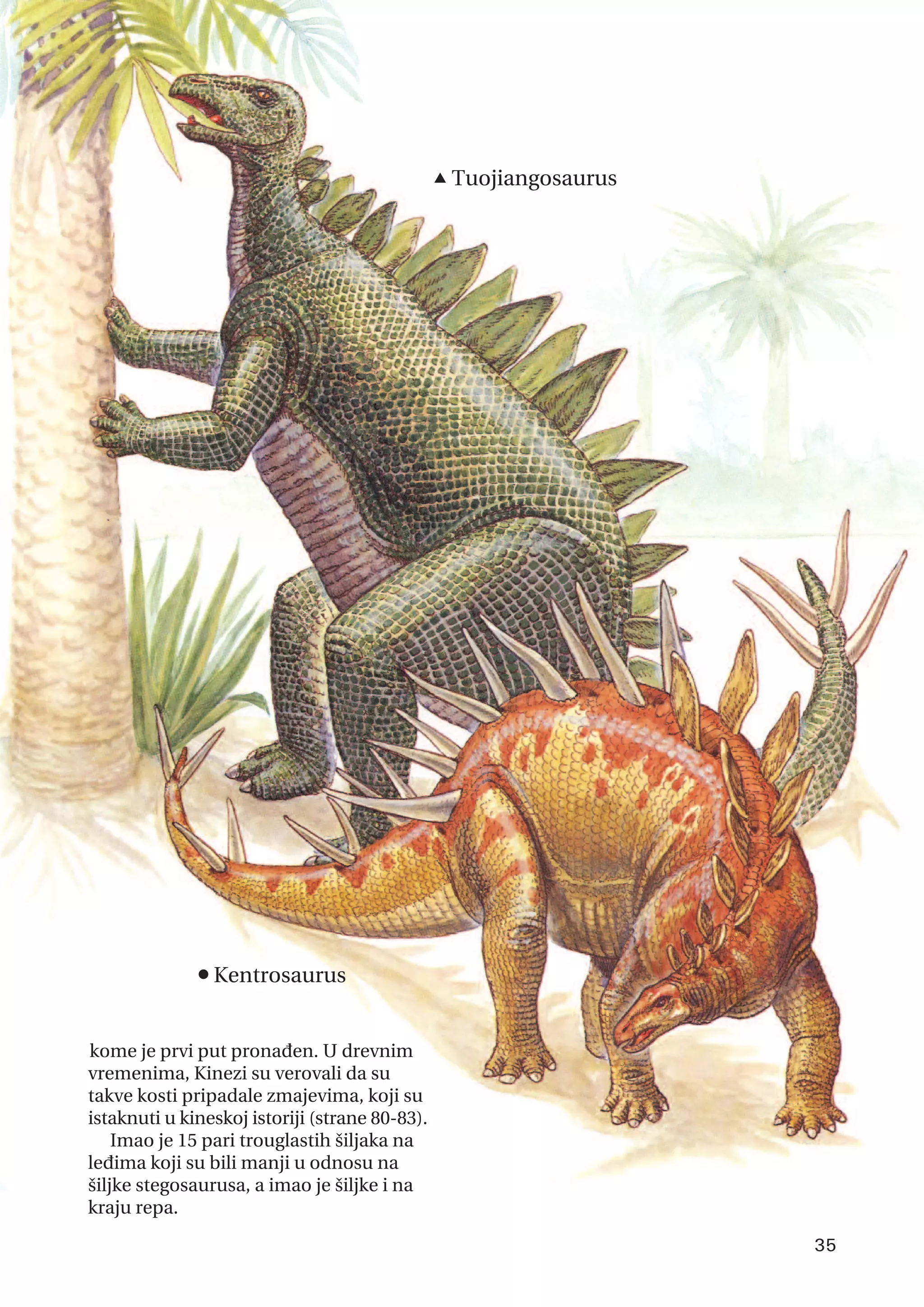 Dinosaurusi | PDF