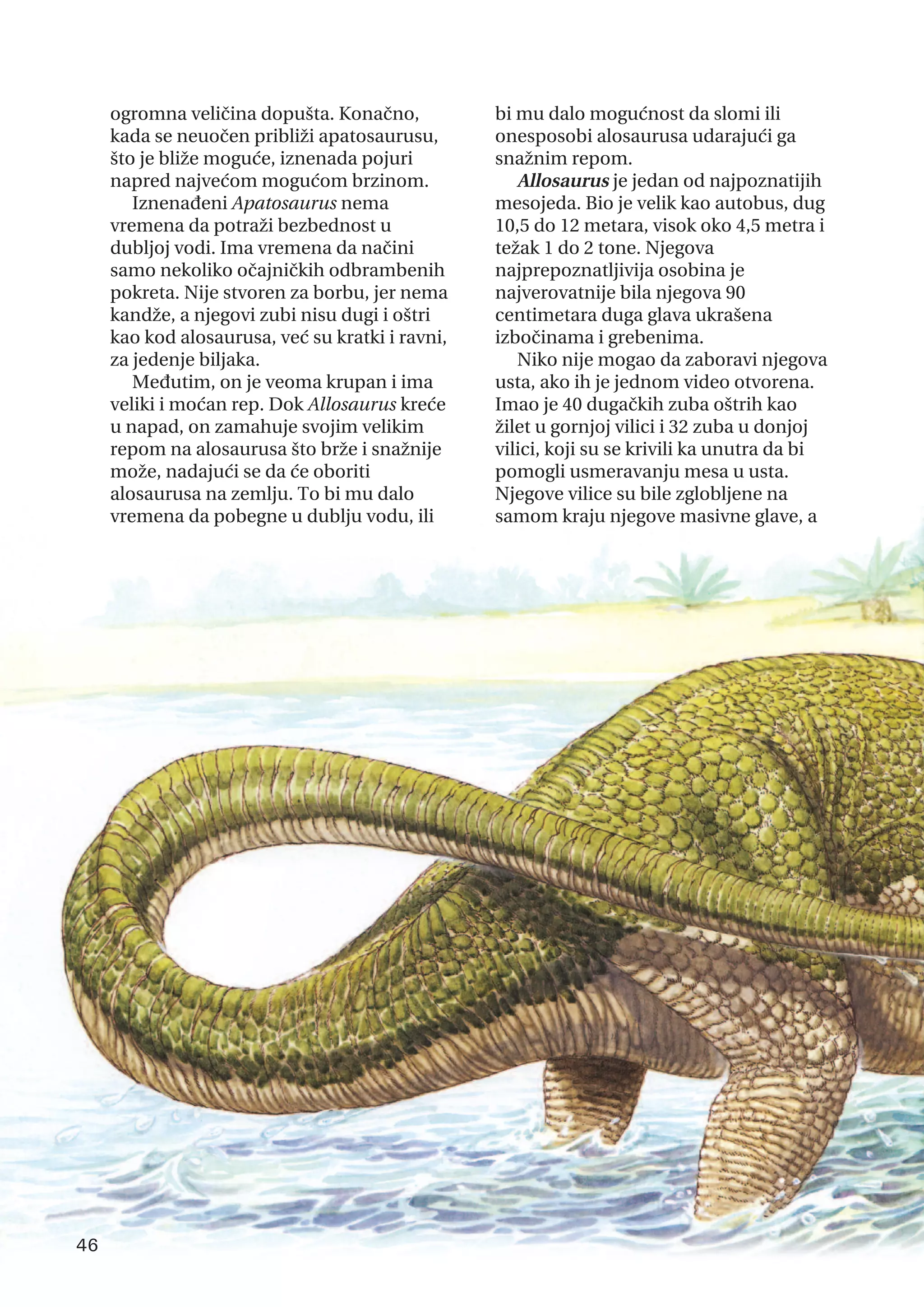 Dinosaurusi | PDF