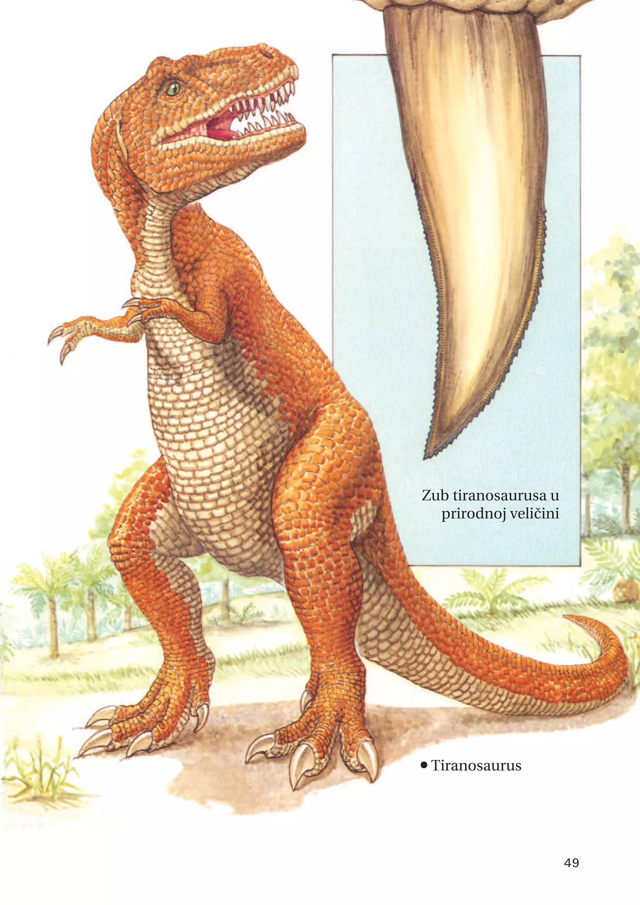 Dinosaurusi | PDF