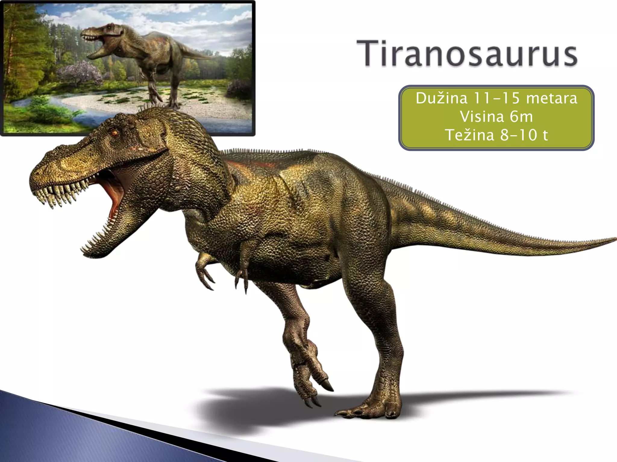 Dinosaurusi | PPT