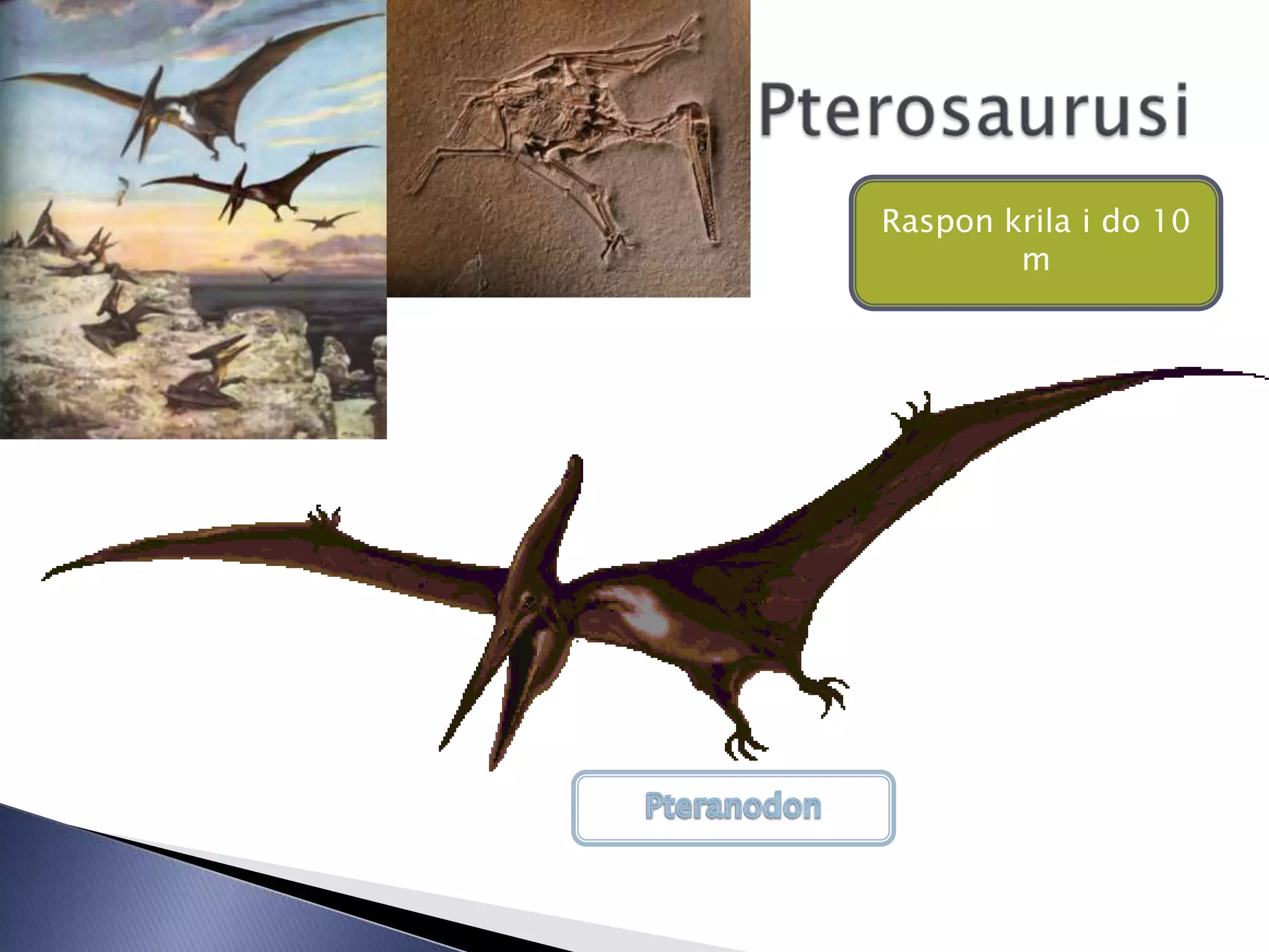 Dinosaurusi | PPT