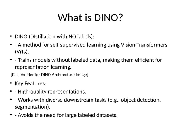 DINO_Vision_Transformer_Presentation_Updated.pptx