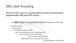DINR 2021 Virtual Workshop: Passive vs Active Measurements in the DNS | PPT