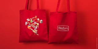 Strategic Brand Shift for Dinshaw's | PDF