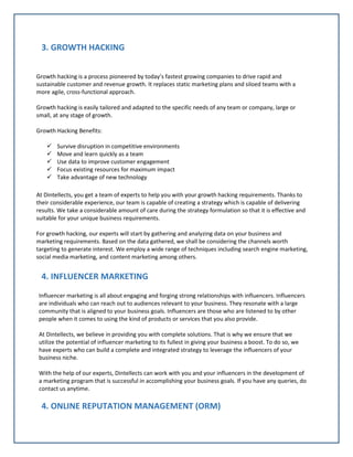 Dintellects Services | PDF