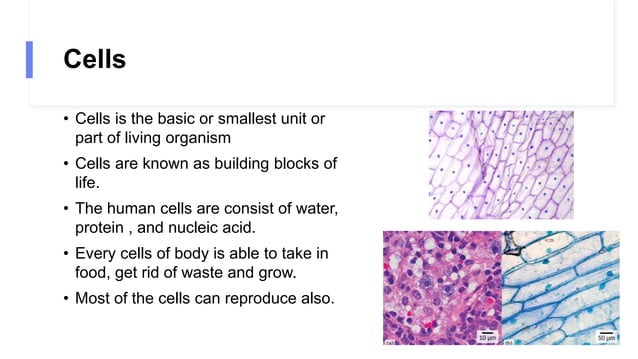 D) introduction to cells and tissues | PPT