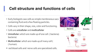D) introduction to cells and tissues | PPT